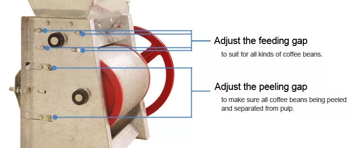 BP120-2A/B Coffee Pulper Machine_Dan hua machinery